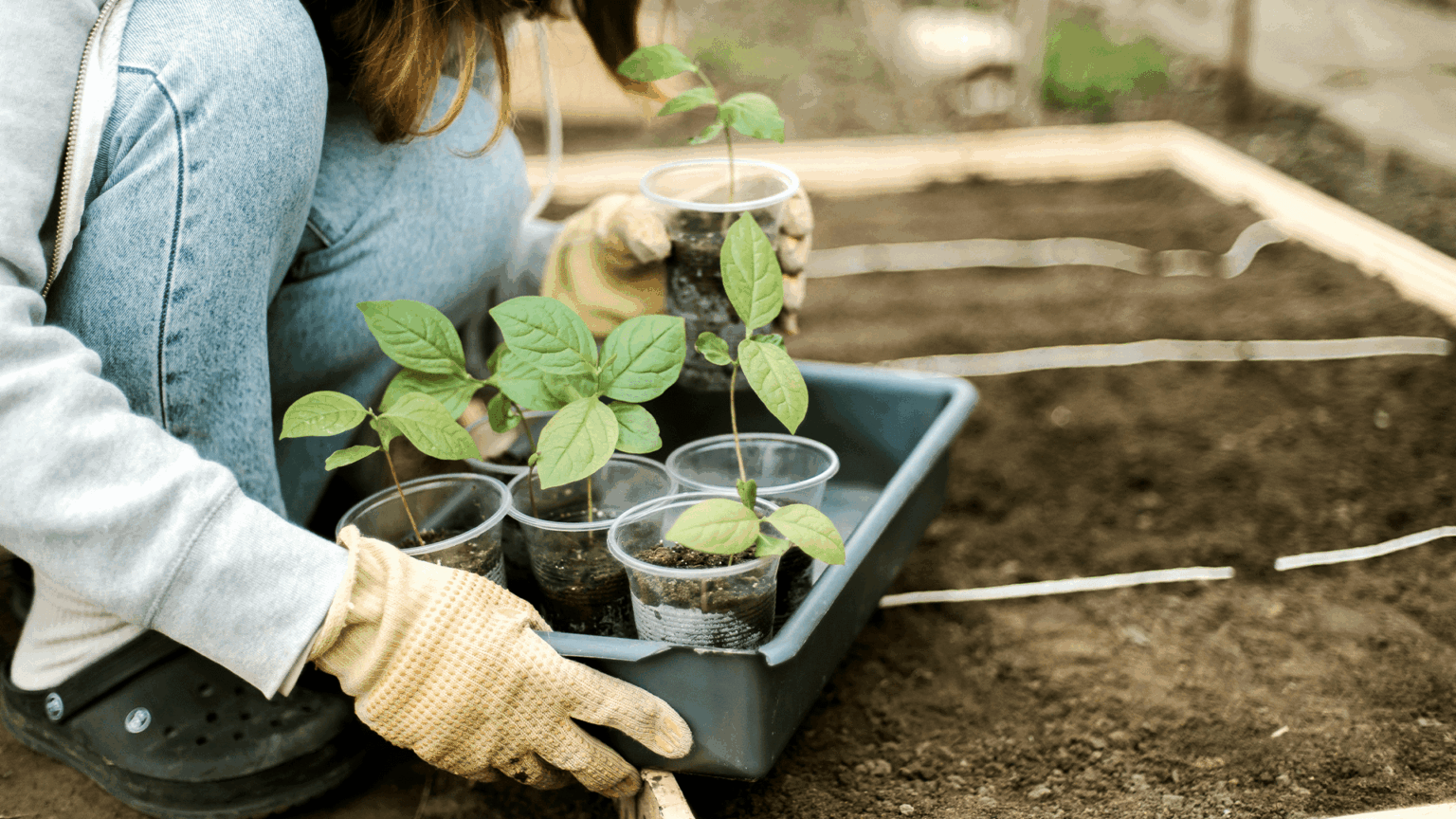 Year-Long Youth Ministry Planning: A Simple How-To Guide